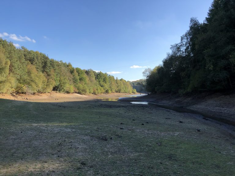 Ardingly Reservoir - Sussex Countryside